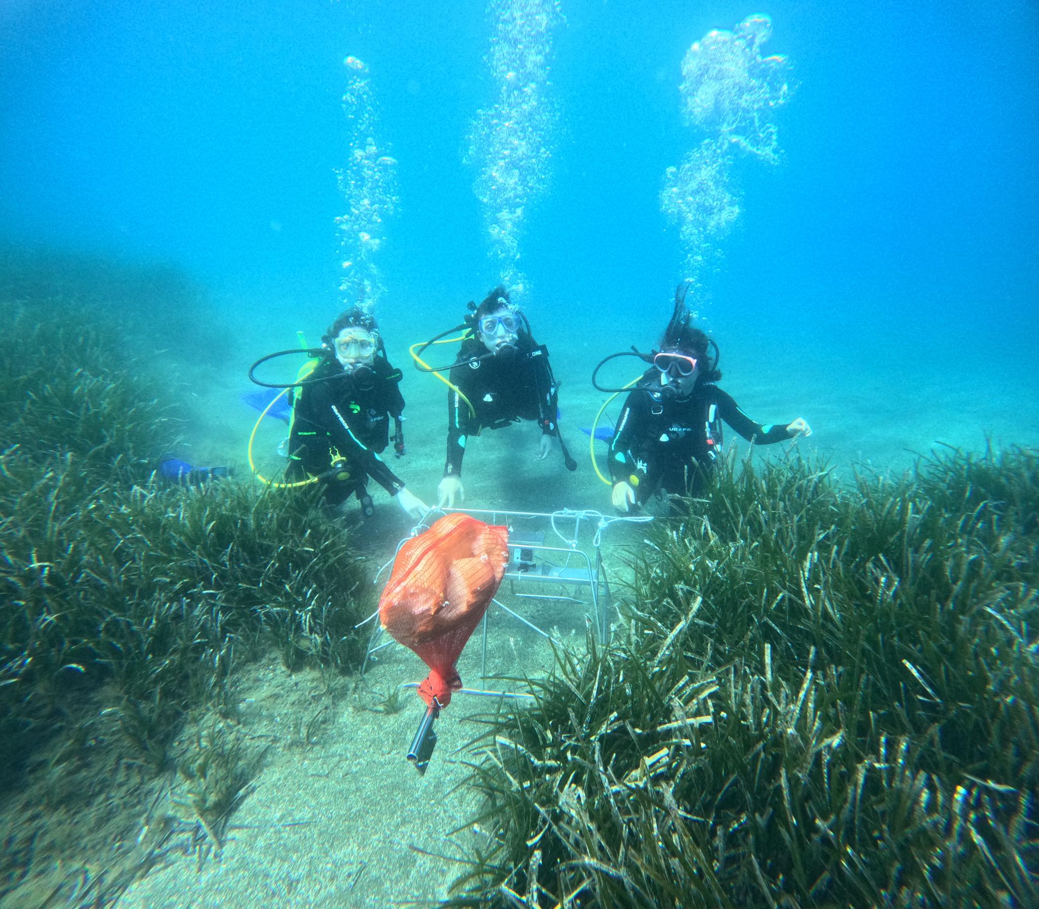 ACG & the Lesvos Mission Blue Project - ACG 150