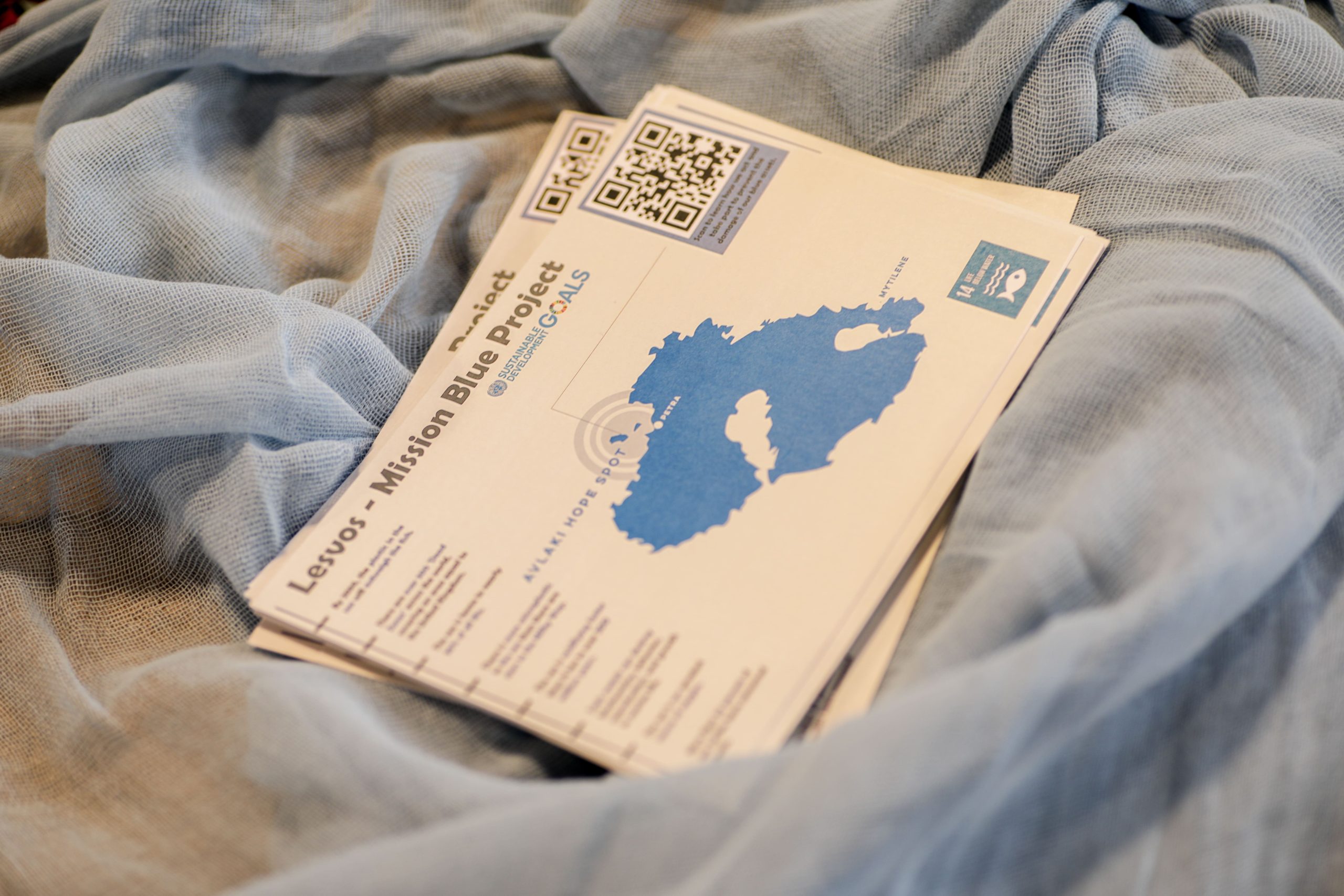 Rising Tides, Rising Awareness: Lesvos Mission Blue Project - ACG 150